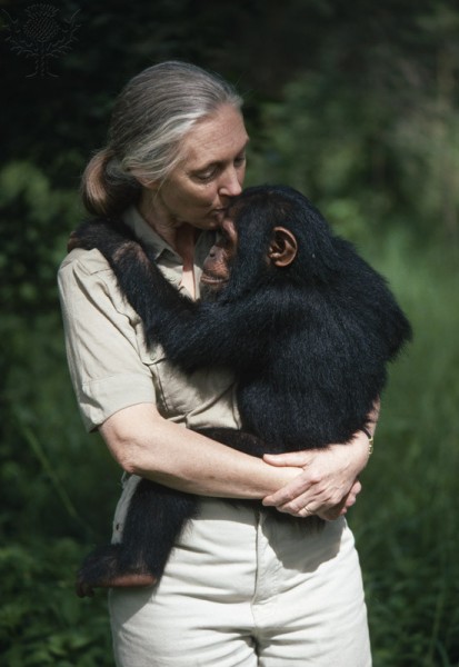 ‘Jane Goodall, una simia blanca, grande y rara’ – DUPO – Diario de la ...
