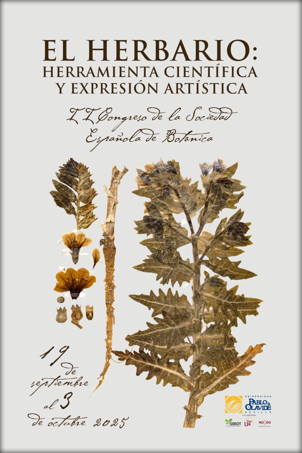 La Sociedad Española de Botánica celebra su segundo congreso nacional ...